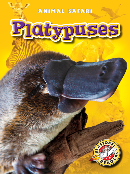 Libby - Platypuses